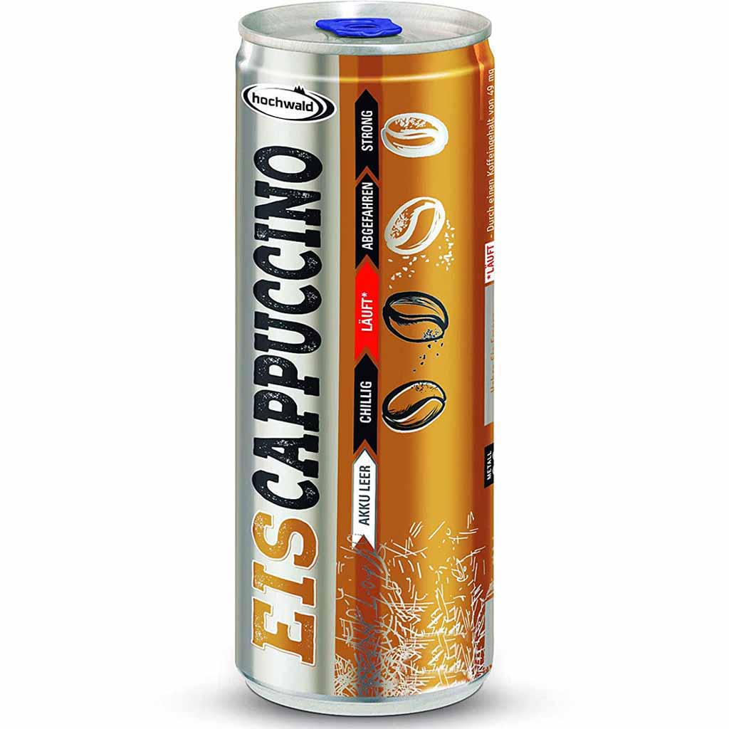 24x Hochwald Eiscappuccino Dose á 250ml=6L